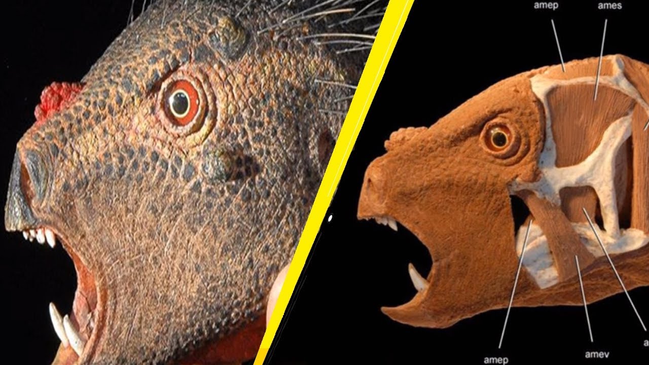 New Creatures Found Strange