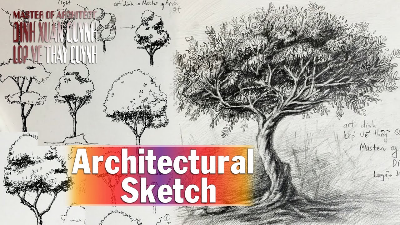 How to Draw Trees for Architectural Sketch - Cách vẽ cây cho phác thảo ...