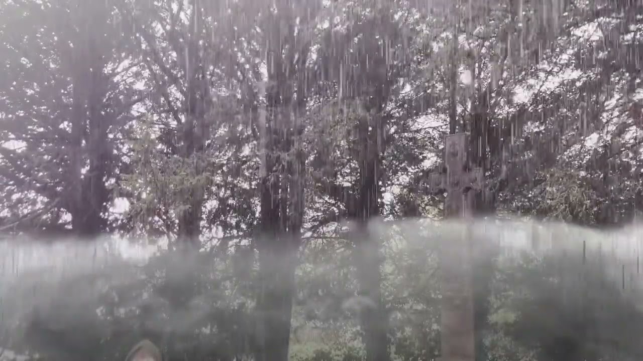 How To Get To Sleep With Heavy Rain In Graveyard - Relaxation Sleep 1 ...