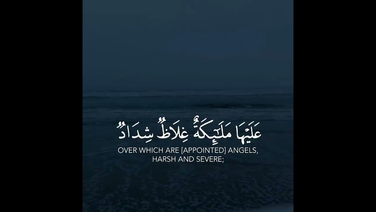 يَا أَيُّهَا الَّذِينَ آمَنُوا قُوا أَنفُسَكُمْ وَأَهْلِيكُمْ نَارًا