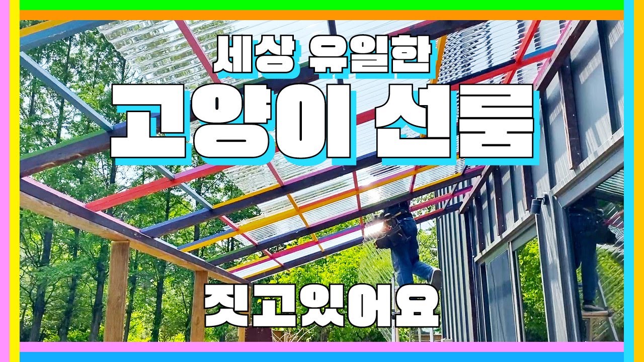고양이 선룸 만들고 있어요 #선룸 셀프 시공#Self-installation of the cat sunroom - YouTube