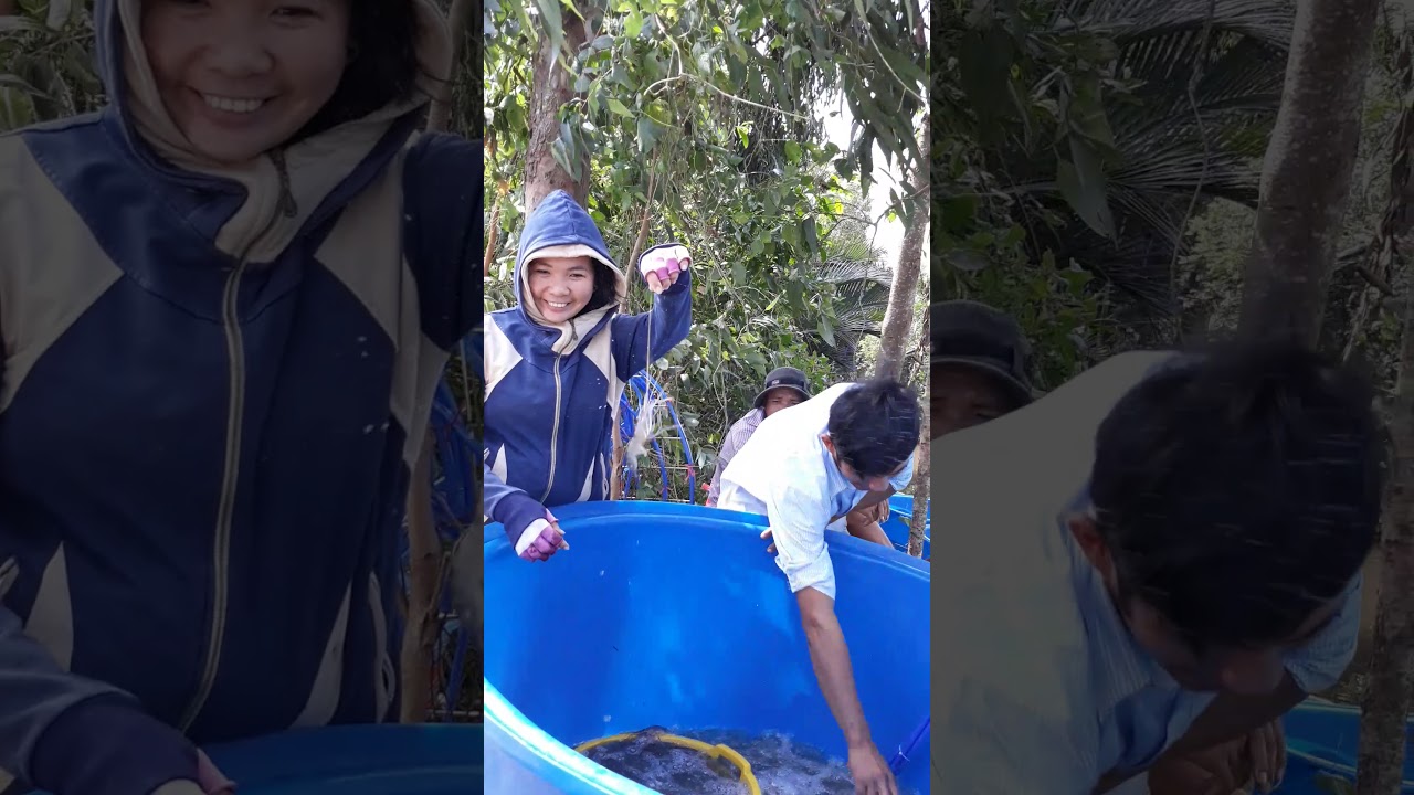 Tom can xanh - YouTube