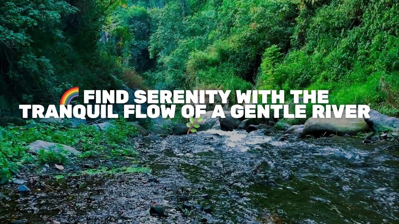 🌈 Find Serenity with the Tranquil Flow of a Gentle River 🌿 - YouTube