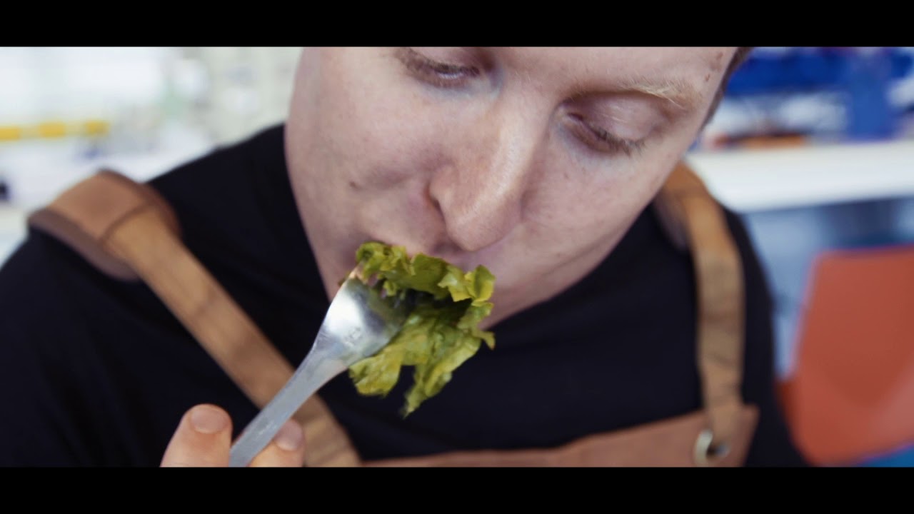 Aha-Labs: Ready-Eat - YouTube