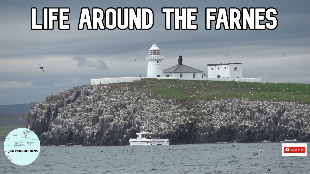 Life Around The Farnes. April 2023 - YouTube