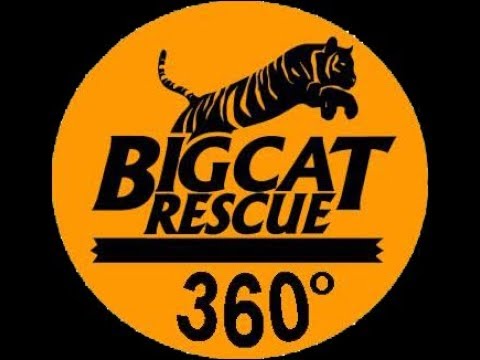 Big Cat Rescue - Manny 1.19.19 3D360