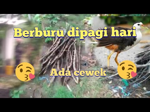 Semangat berburu// ada cewek cantik🤔🤔