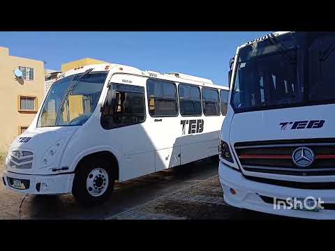 Transporte TEB Calidad Y Servicio En Guadalajara - YouTube