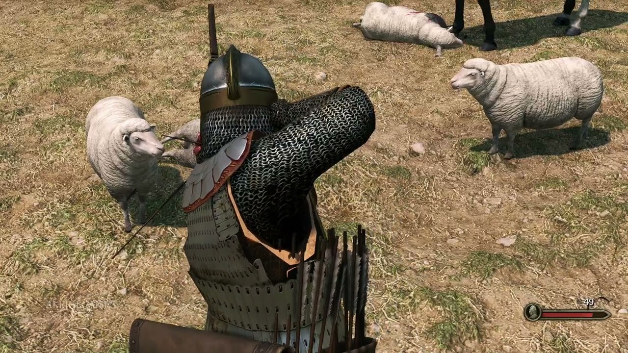 POOR SHEEP - YouTube