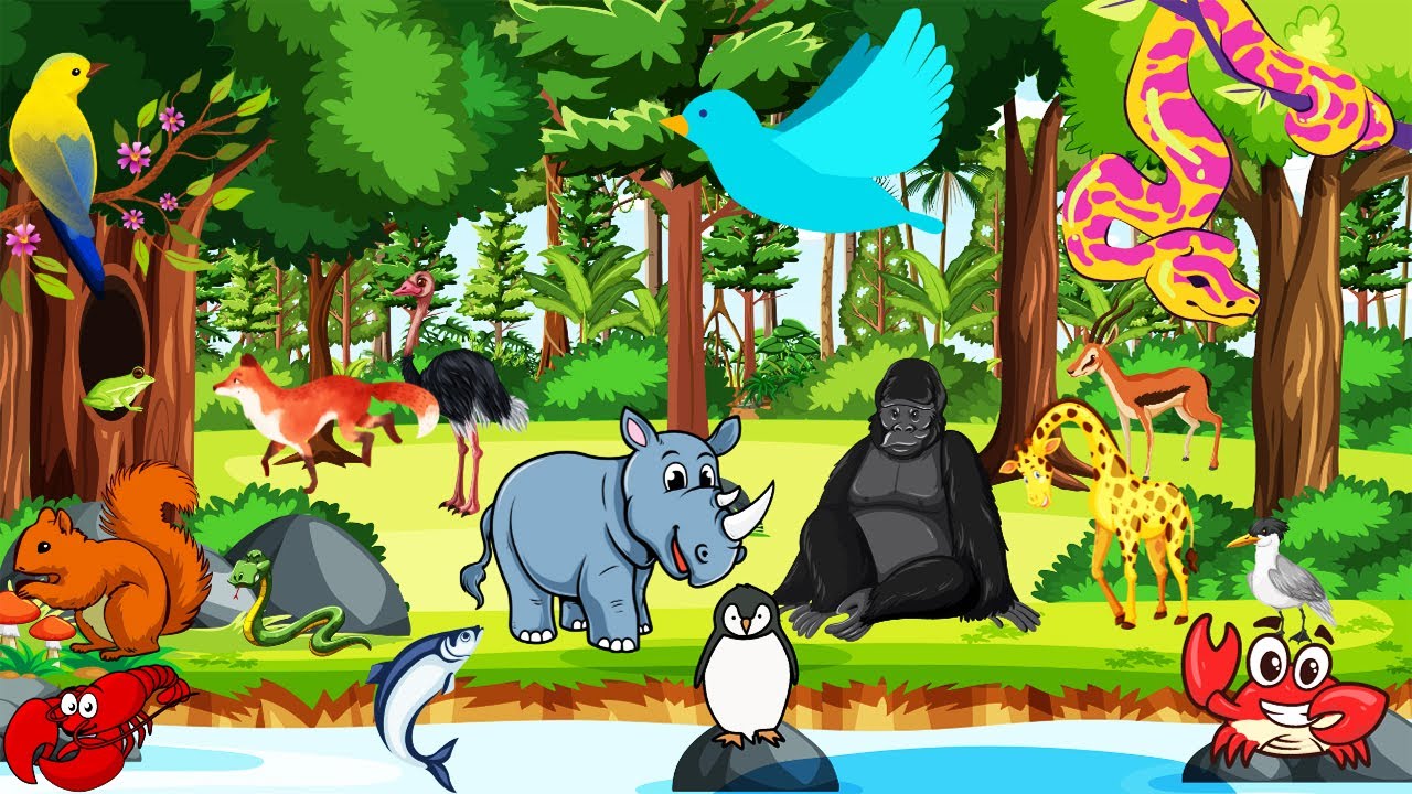 Animal sounds around us: Tapir, Sloth, Gorilla, Owl, Rabbit, Snake ...