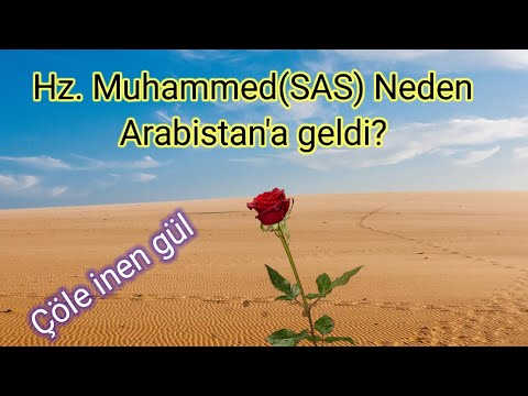 Hz. Muhammed(SAS) 
