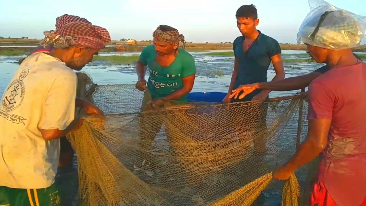 Traditional big net Fishing catching skill , and amazing net Fishing ...