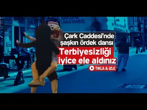 Çark Caddesi'nde şaşkın ördek dansı!