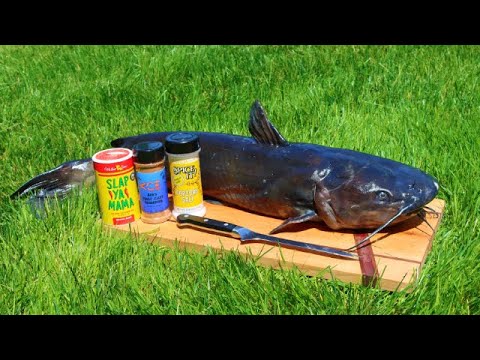 CATFISH Cookout on the Lakeshore! (FISH SANDWICHES) - YouTube