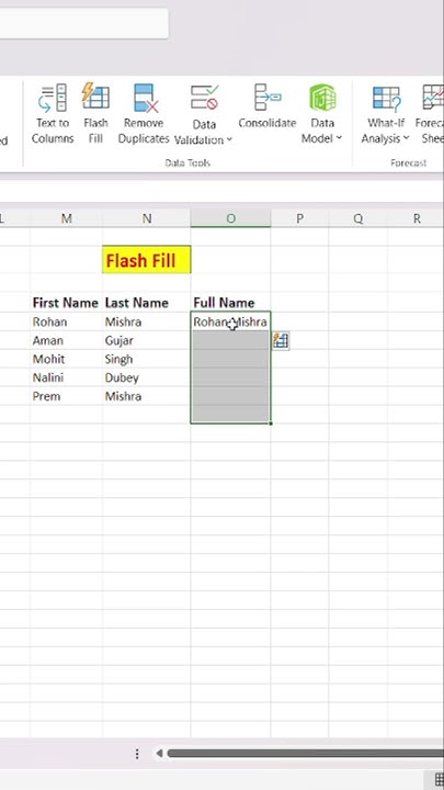 How to Use Flash Fill Option In MS Excel || By Priya Mishra || #pmithub ...