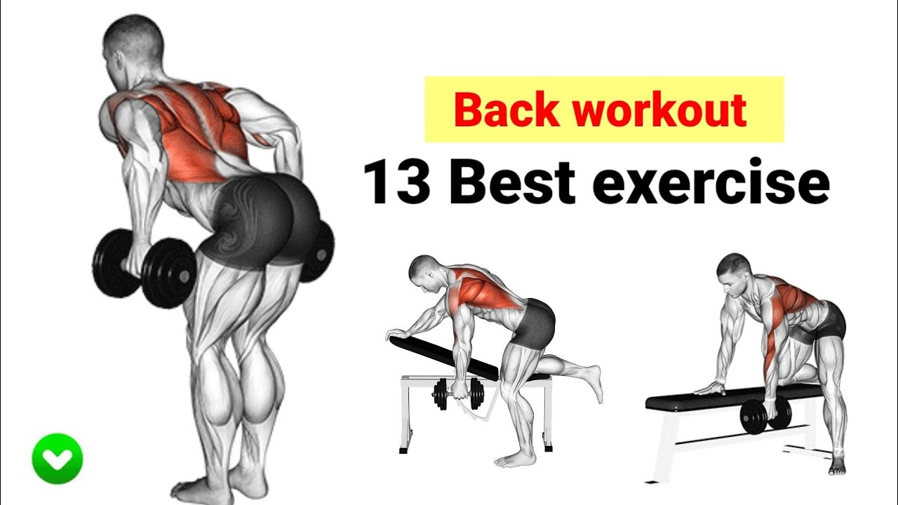 Back workout 13 best exercise And See the results - YouTube