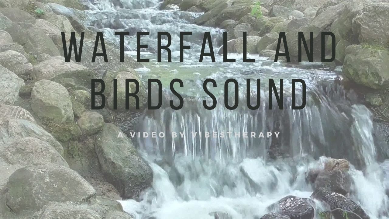 Waterfall Sound with Birds Sounds - Meditation Sounds - YouTube