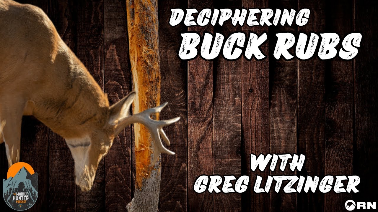 Deciphering BUCK RUBS | How to read Buck Rubs and apply them to your ...