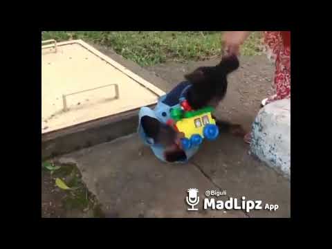 Magyar madlips video