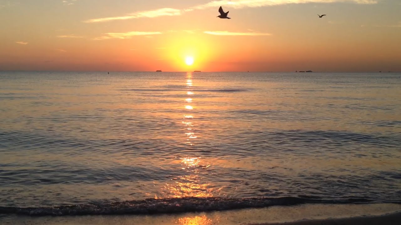 Relaxing Nature Sounds from Ocean Waves for relaxation, yoga ...