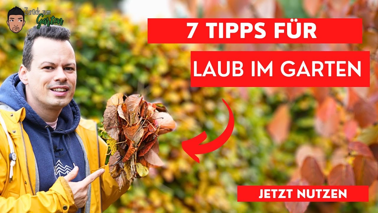Laub im Garten nutzen - 7 Tipps um Laub loszuwerden - YouTube