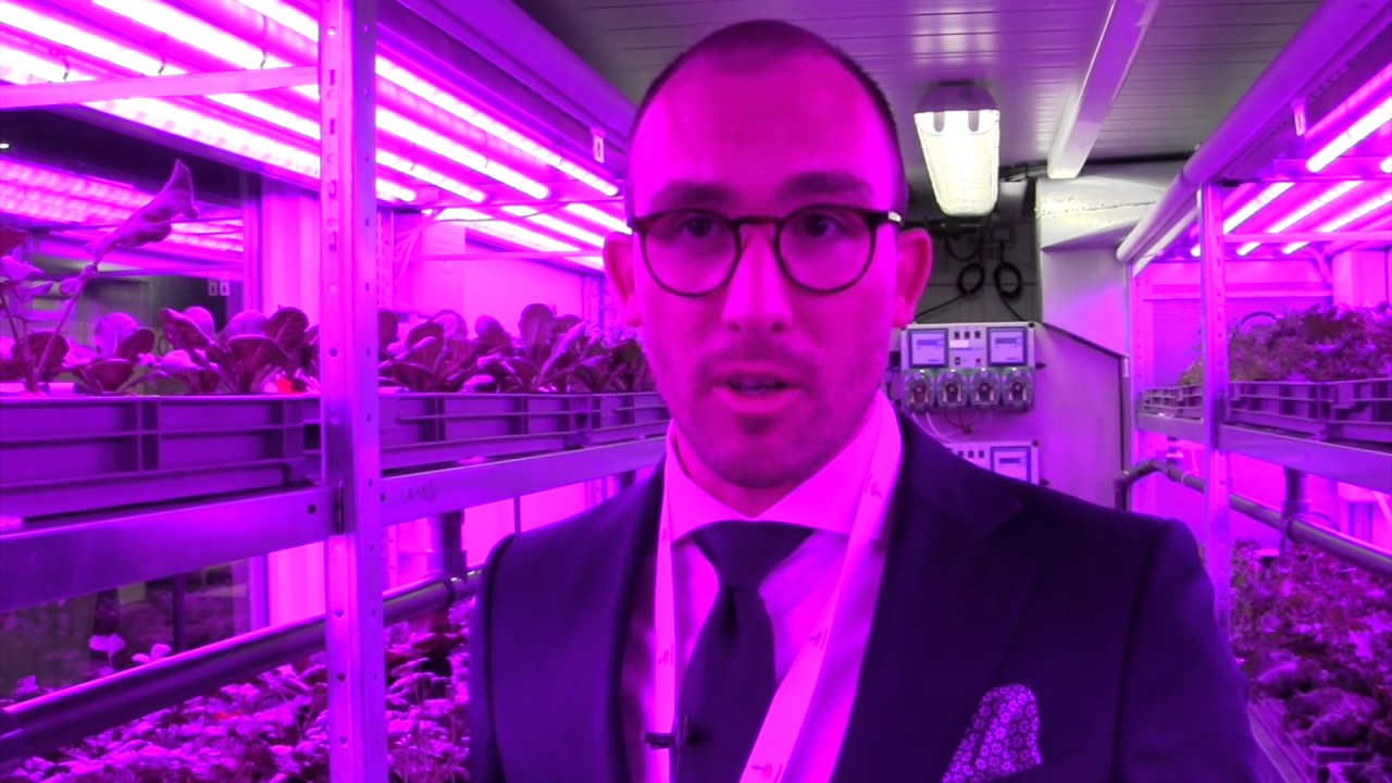 Brecht Stubbe, some key concepts on indoor vertical farming - YouTube
