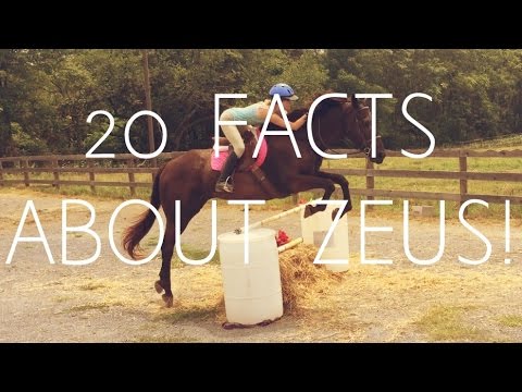 20 facts about Zeus! - YouTube