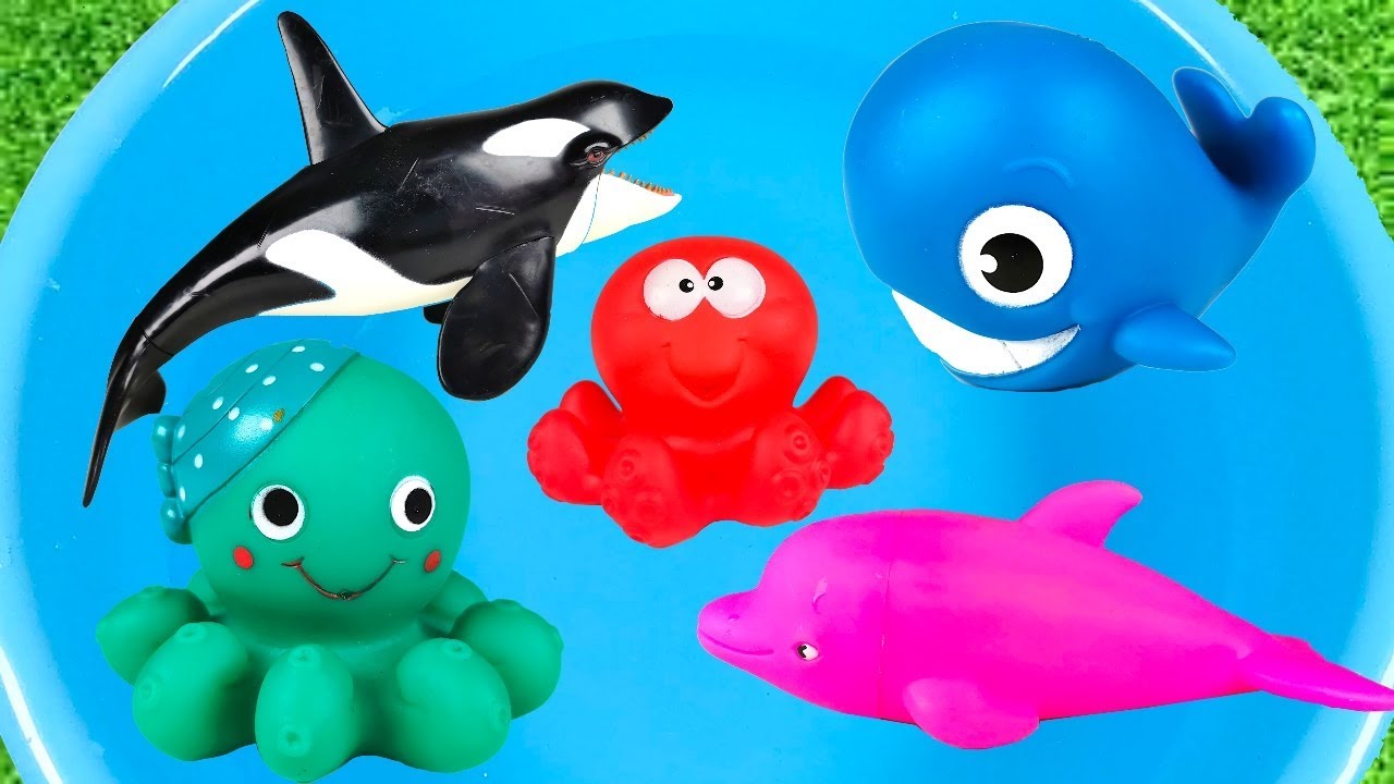 Learn Sea Animals And Zoo Animals with Kids Pool - Hippo Fish Shark ...