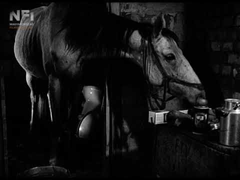 Csutak és a szürke ló (Várkonyi Zoltán, 1961, részlet)