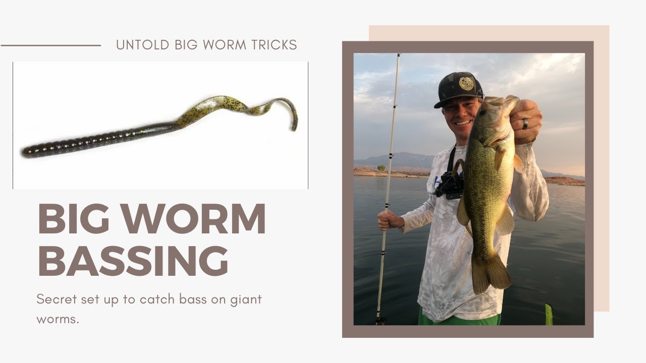 Untold GIANT Worm Tricks WRECKING Bass. - YouTube
