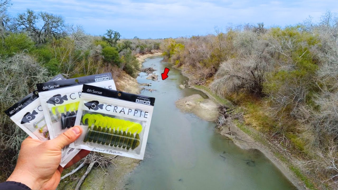 The WHITE BASS Run is HERE! (Nueces River, TX) - YouTube
