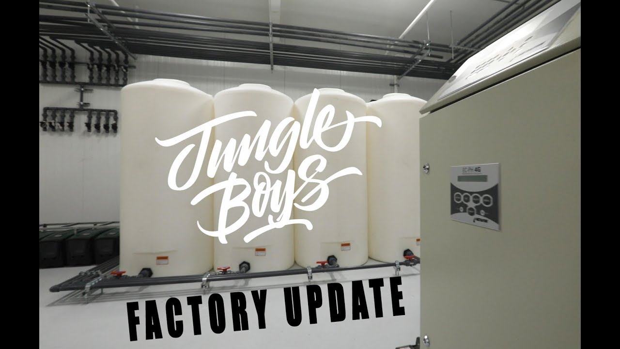 Jungle Boys Factory update - YouTube