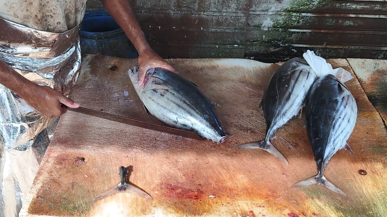 Perfect Skipjack Tuna Cutting 😱🔥 - Skipjack Tuna Fish Cutting Skills In ...