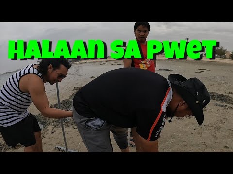 Dinukot ang | HALAAN sa pwet | ang laki (KSA) - YouTube