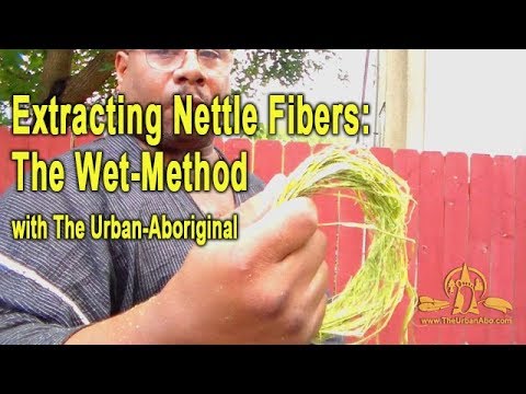 Extracting Nettle Fibers: The Wet-Method w/ The Urban-Abo - YouTube