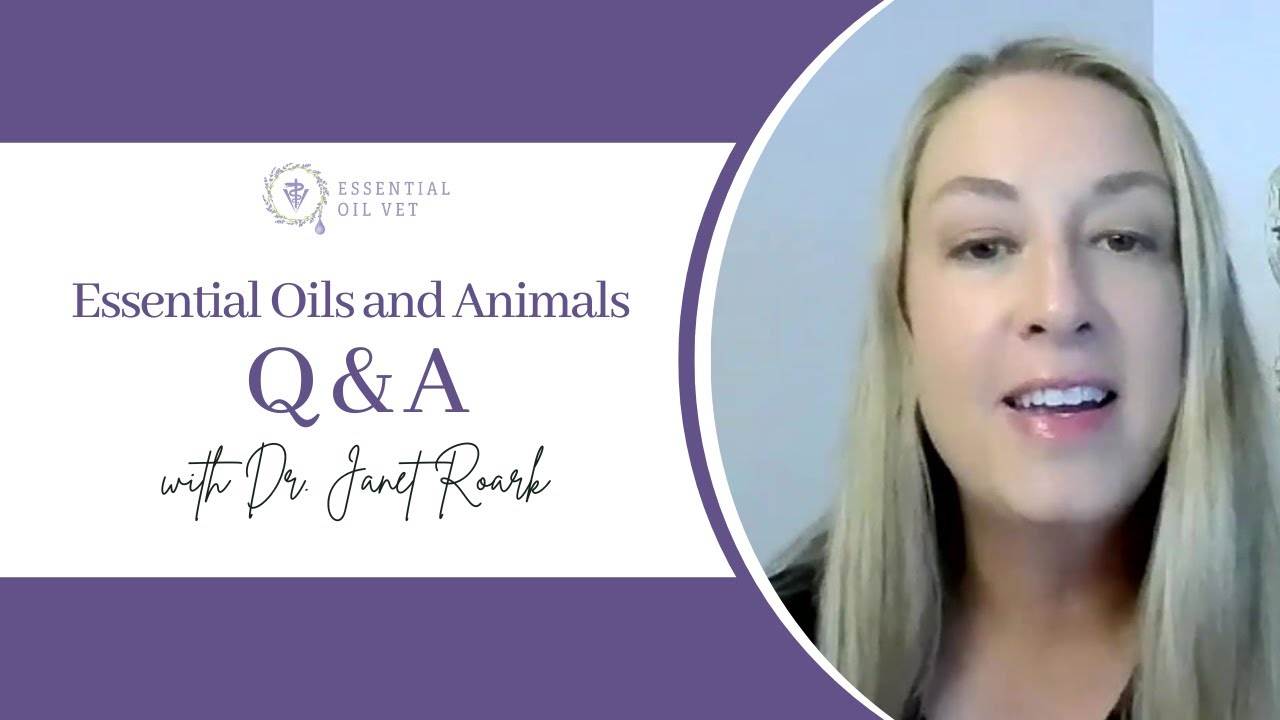 Essential Oil Vet Q & A | Dr. Janet Roark (2023.7.16) - YouTube