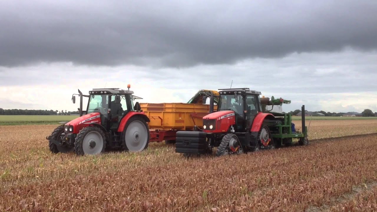 Tulpenrooien met de eco-rooier . - YouTube