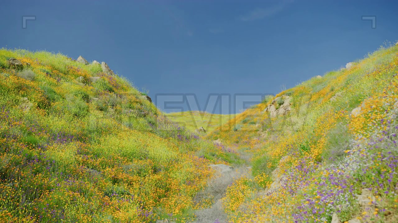 Antelope Valley Hillside Stock Video - YouTube