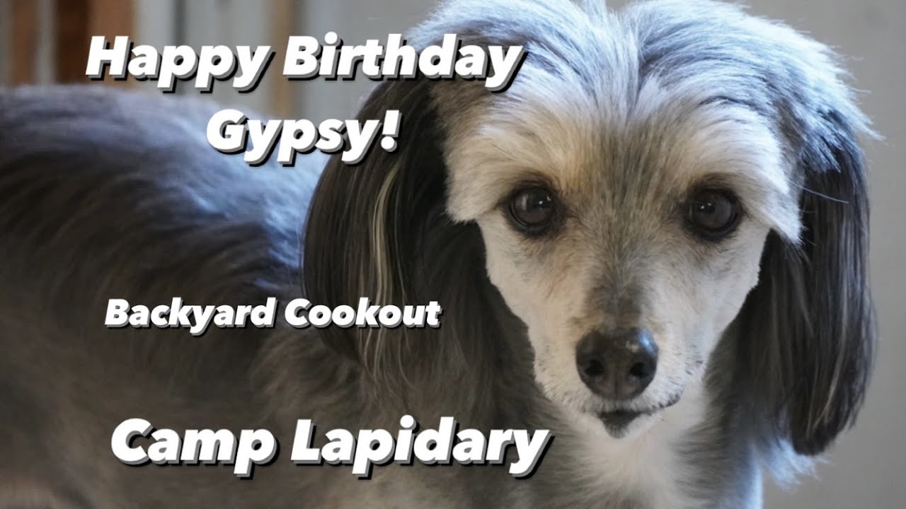 Happy Birthday, Gypsy! Backyard Cookout. - YouTube