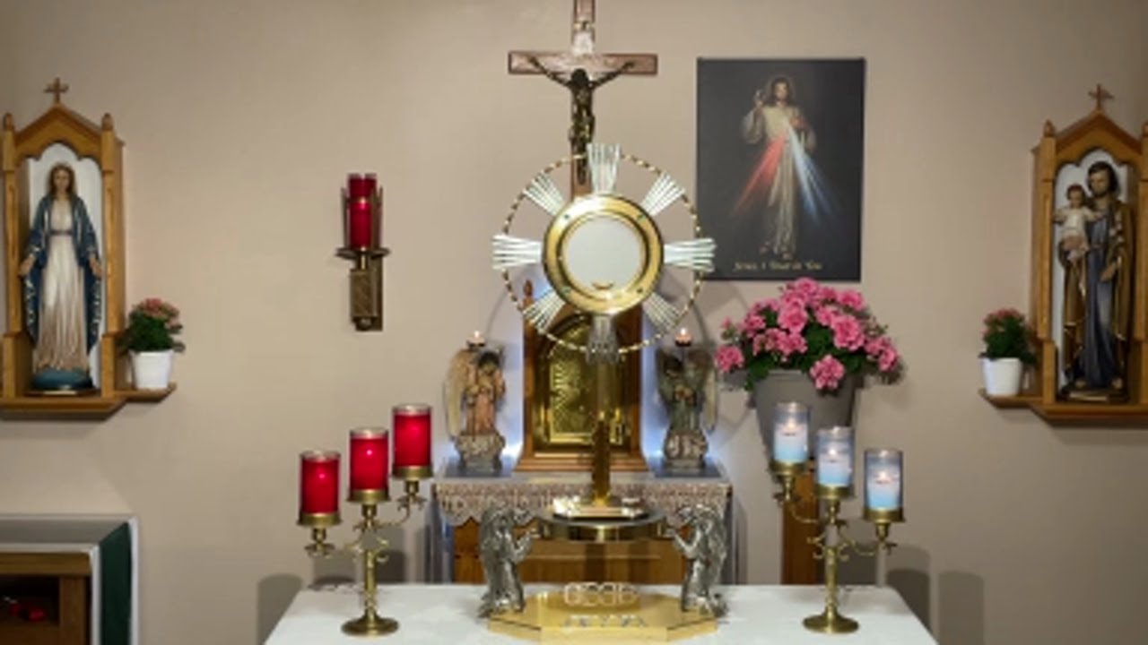 LIVE Eucharistic Adoration - Sisters of Divine Mercy - YouTube