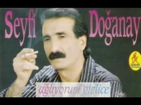 Seyfi Doğanay Yıkarım Hozatı Damar Parça