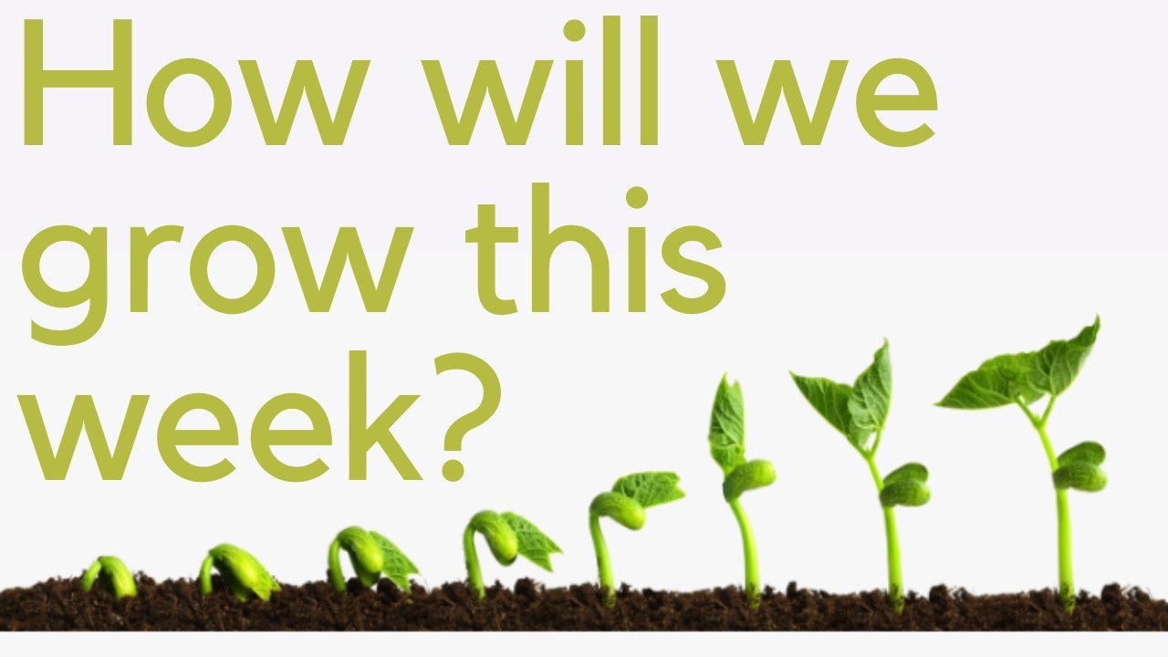 How Will You Grow This Week? (27 April 2020) - YouTube