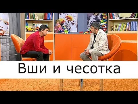 Вши и чесотка -  Школа доктора Комаровского