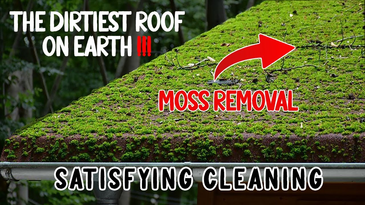 satisfying roof cleaning | pressure wash [ moss removal ] - YouTube