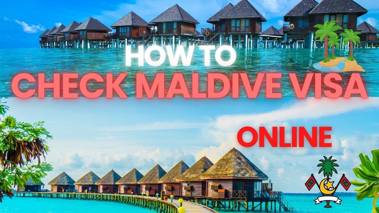 How to check online Maldives Visa - YouTube