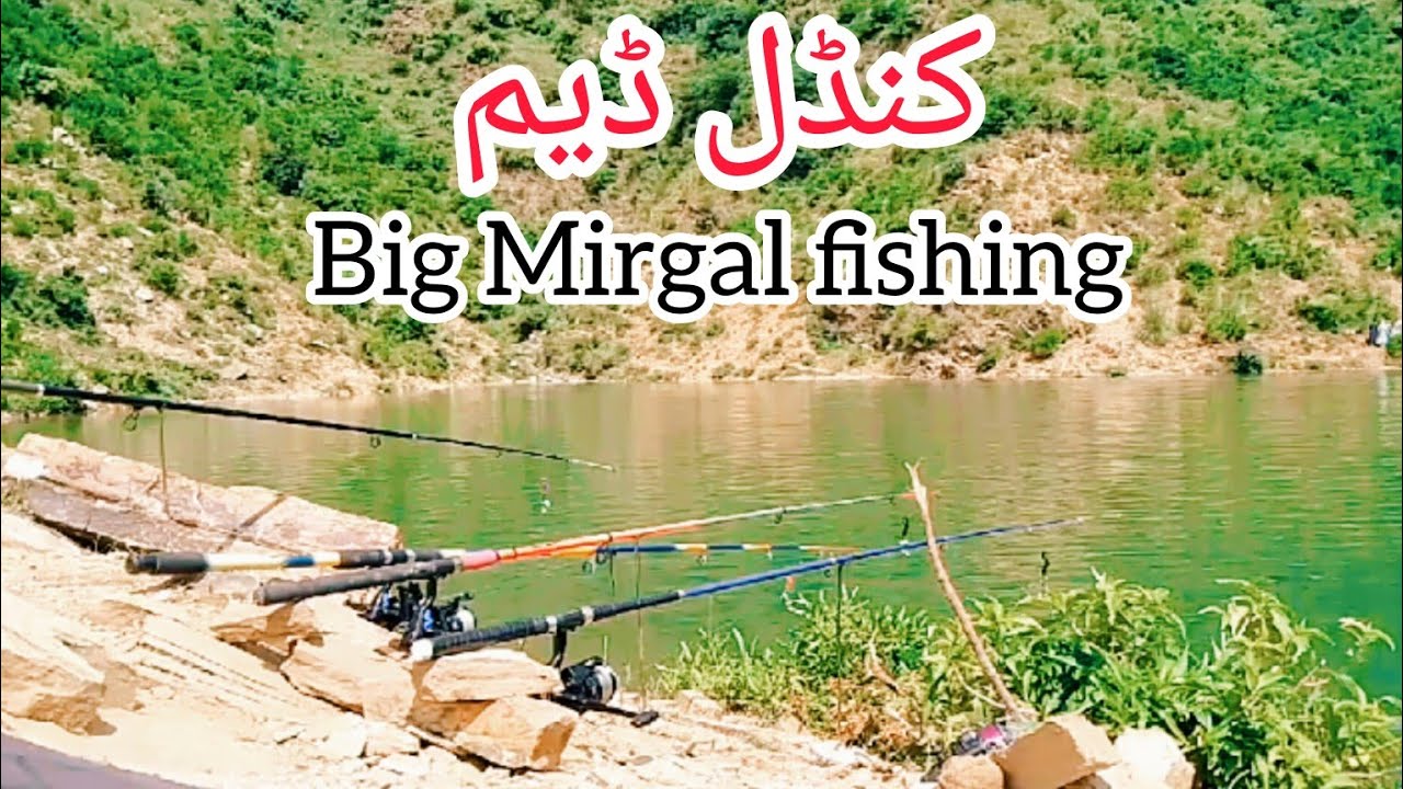 Kundal Dam fishing 🎣 Mirgal fish catching Narain 🐟 hunting #kundal #Dam ...