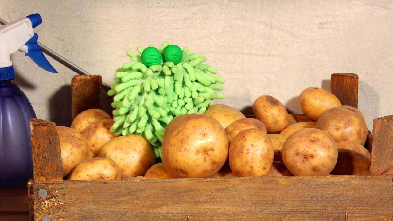 Dusty & Mop - 05 - Potato bowling - YouTube