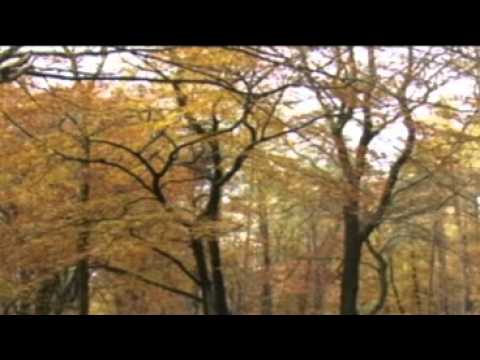 sonsonbahar - NURİ CAN
