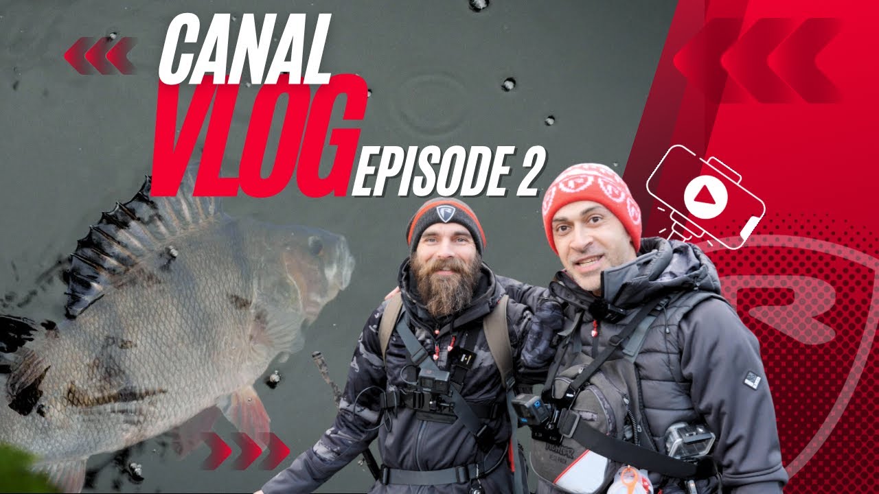 Perch fishing on canals | How to catch perch with lures | Drop Shot and ...