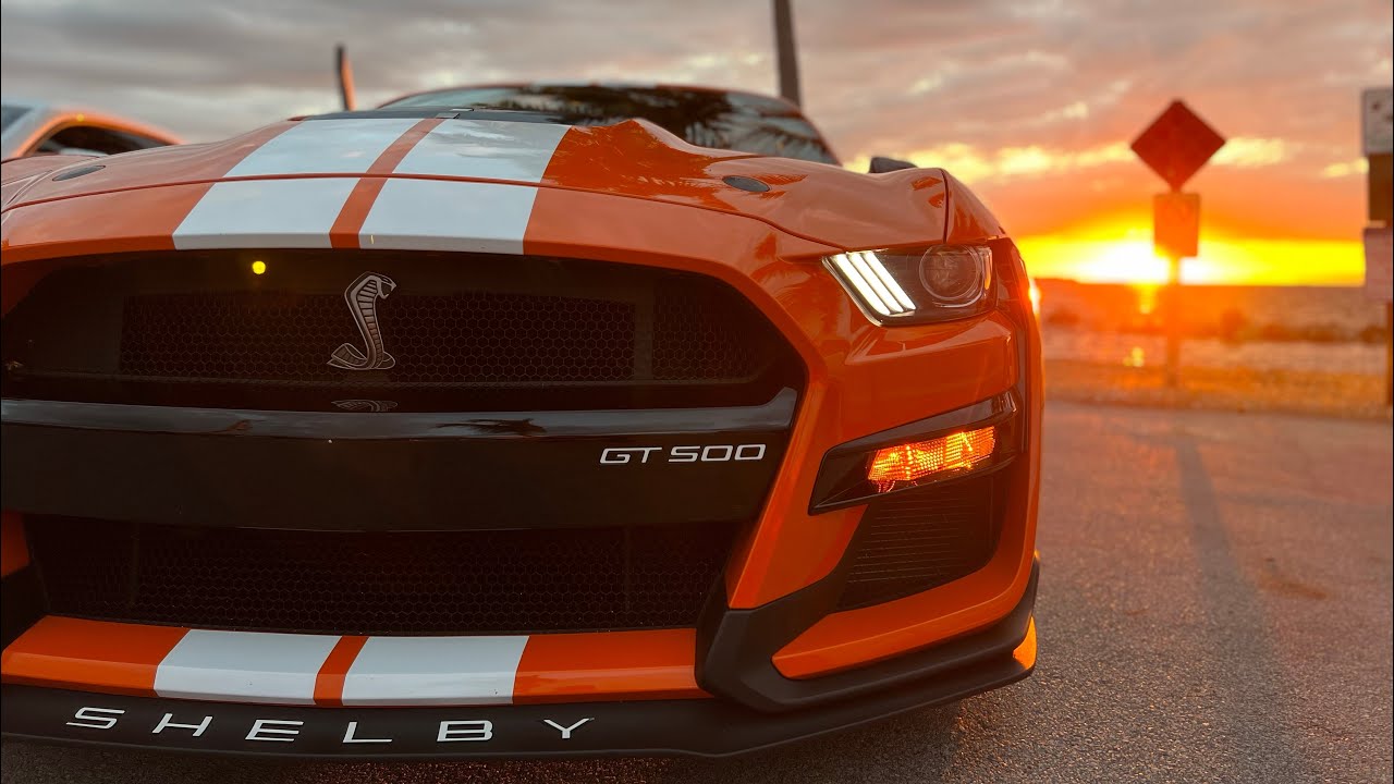 2020 SHELBY GT500 Stock Exhaust Compilation (Revs, Dyno, Pulls) - YouTube